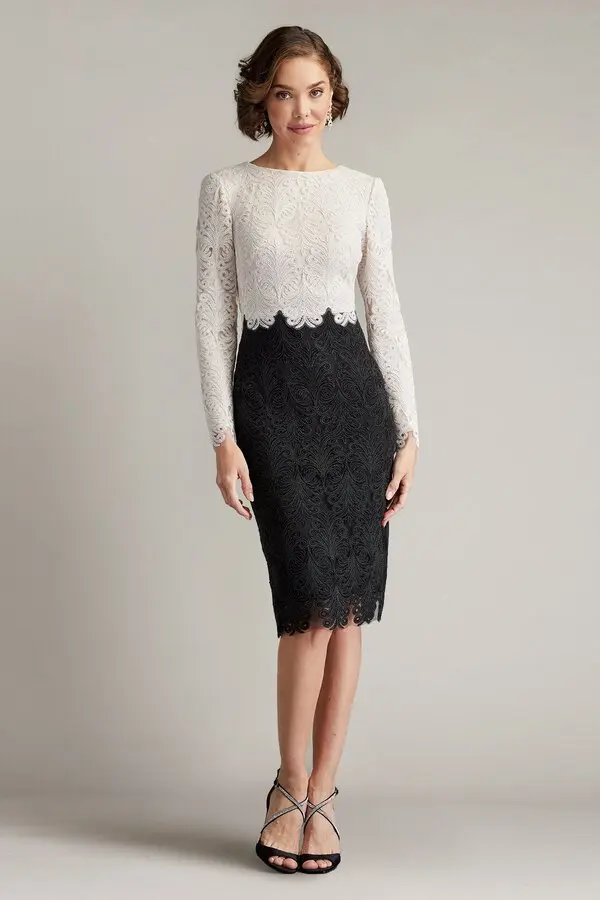 Tadashi Shoji Alford Reverse V-neck Embroidered Tulle Dress - Ivory/black