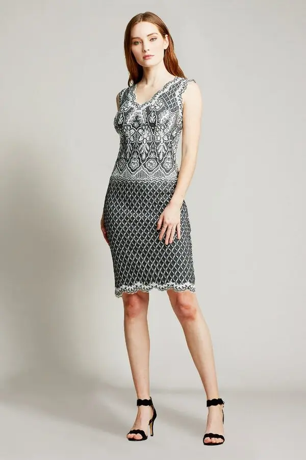 Tadashi Shoji Niall Lace Dress - White/black