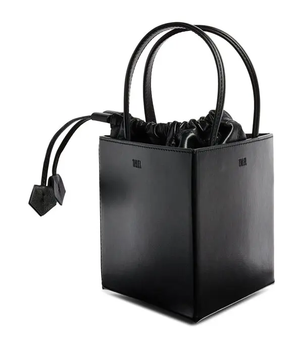 TALEL PARIS Leather Triangle Top-handle Bag