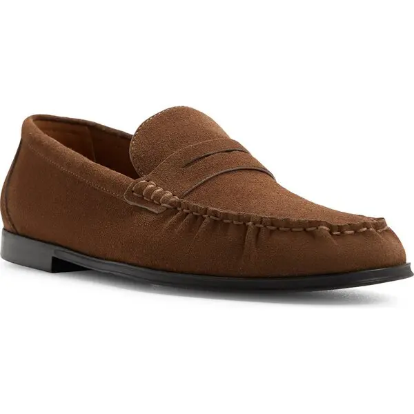 Aldo Mikah Leather Penny Loafer