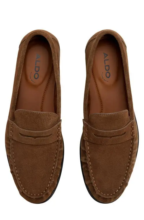 Aldo Mikah Leather Penny Loafer
