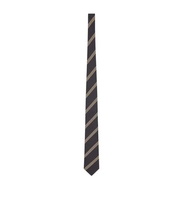 LARDINI Striped Silk Tie - Sa Multi