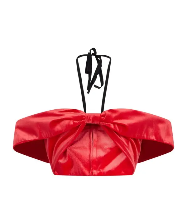 Philosophy Di Lorenzo Serafini Backless Crop Top