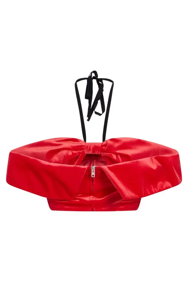 Philosophy Di Lorenzo Serafini Backless Crop Top