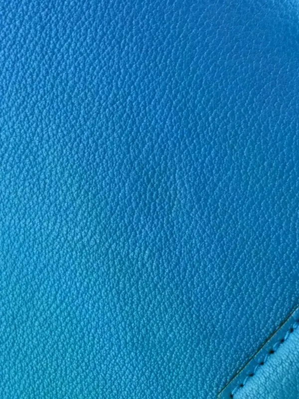 Hermès Jige Elan Clutch Bag