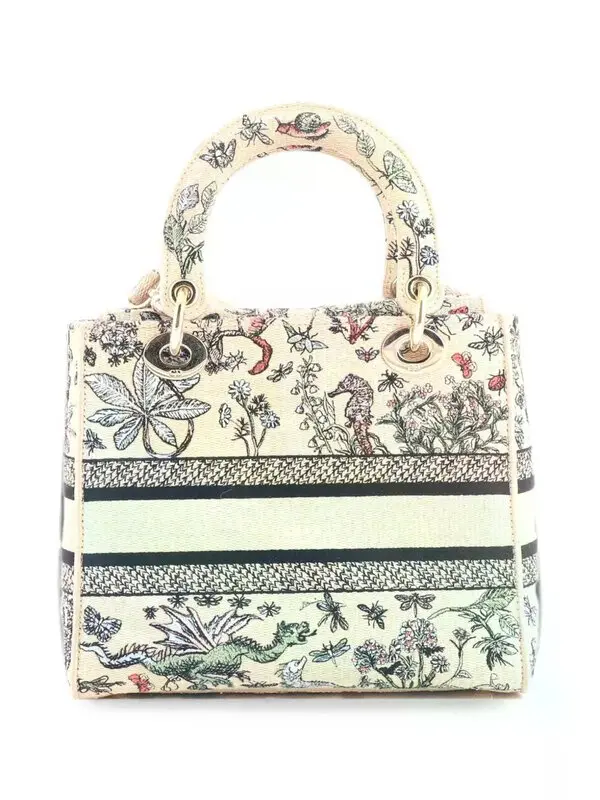Dior Lady D-lite Bag Embroidered Raffia Medium Satchel - Neutrals