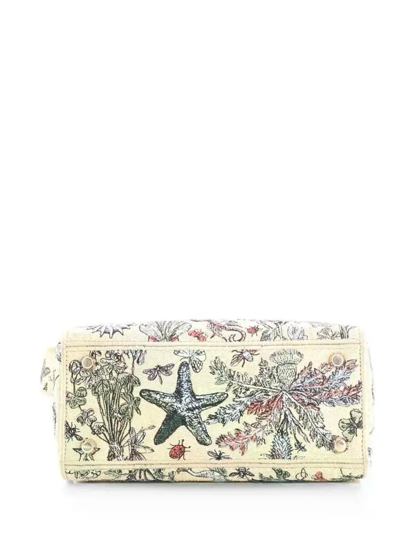 Dior Lady D-lite Bag Embroidered Raffia Medium Satchel - Neutrals