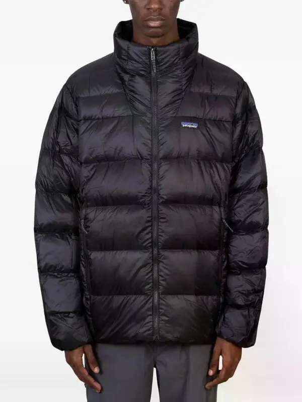 Patagonia Quilted Jacket