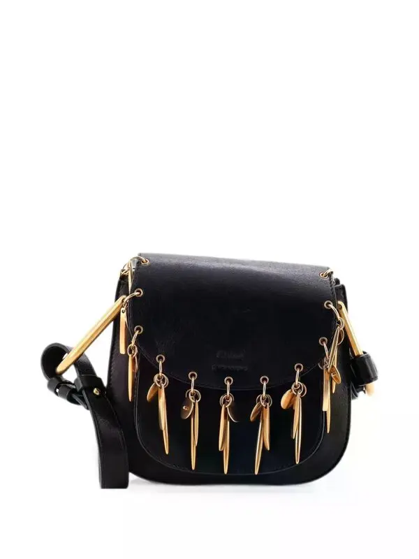 Chloé Charm Hudson Bag Leather Mini Crossbody Bag