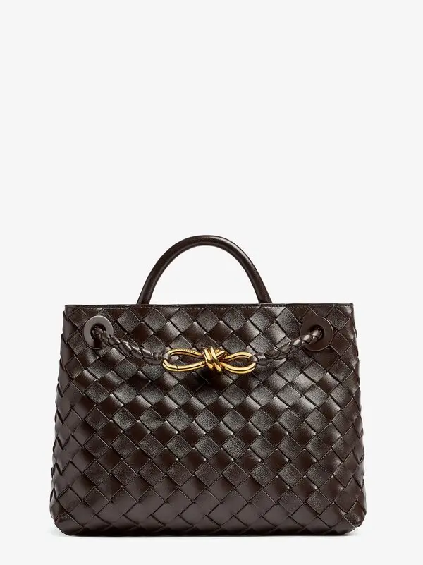 Bottega Veneta Andiamo Small Leather Shoulder Bag With Intrecciato Motif - Brown