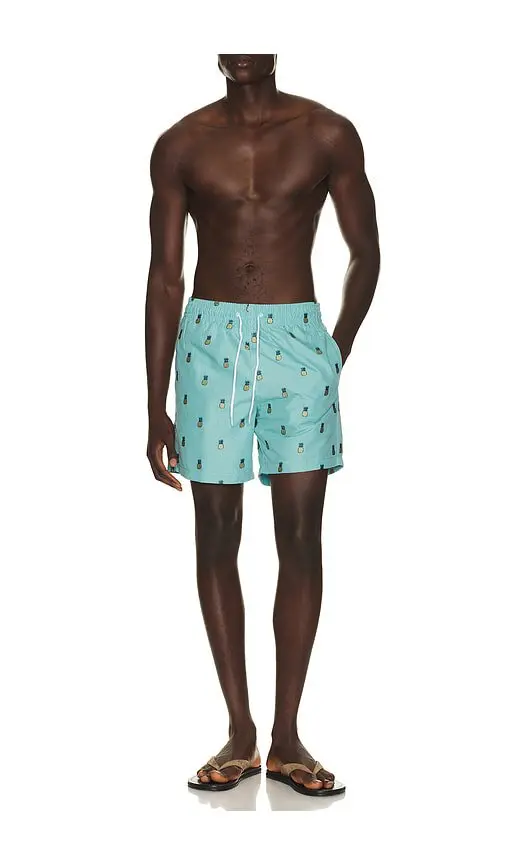 TRUNKS SURF & SWIM CO. Sano 6.5 Swim Short In Green
