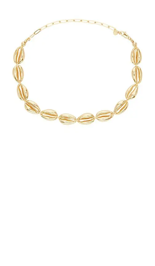 Ettika Cowrie Plated Necklace In Metallic - Gold