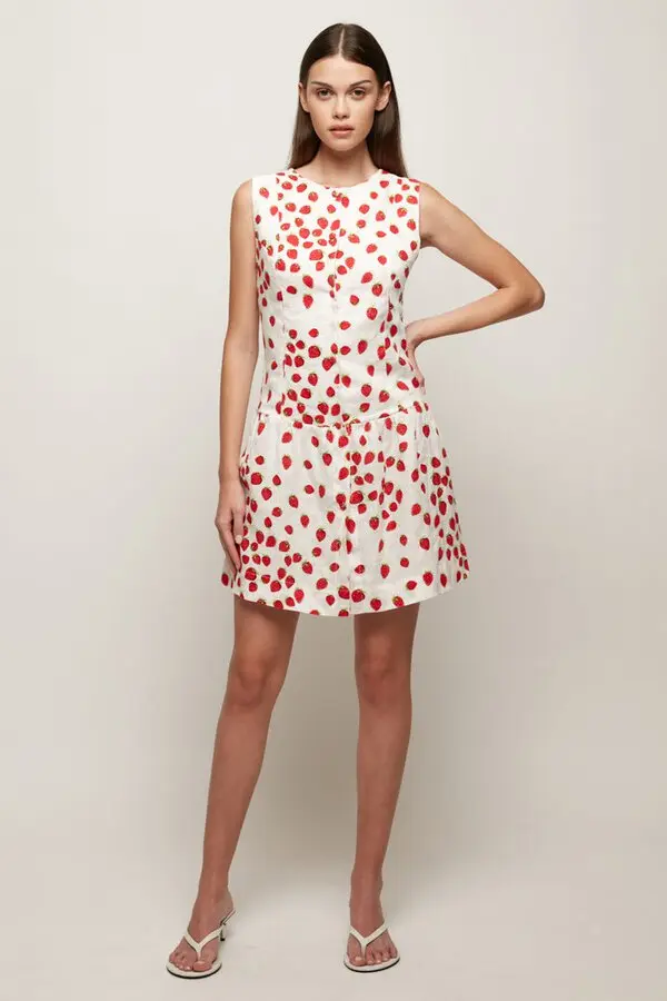 SWF Fitted Bodice Mini