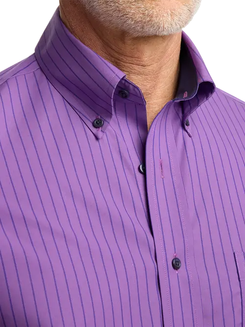 PAUL FREDRICK Cotton Buttondown Collar Broadcloth Classic Contrast Trim Button Cuff Long Sleeve Shirt - Purple/black