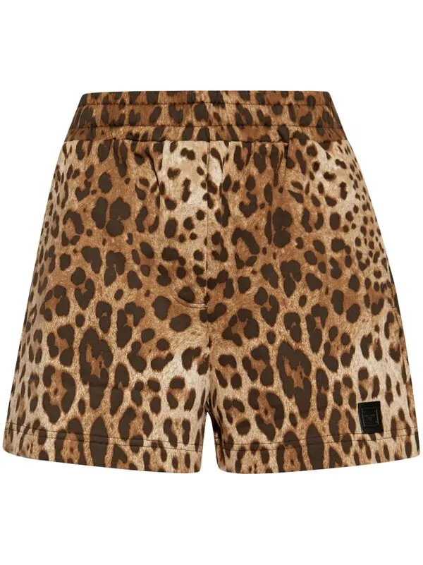 Dolce & Gabbana Leopard Print Cotton Mini Shorts - Marrone