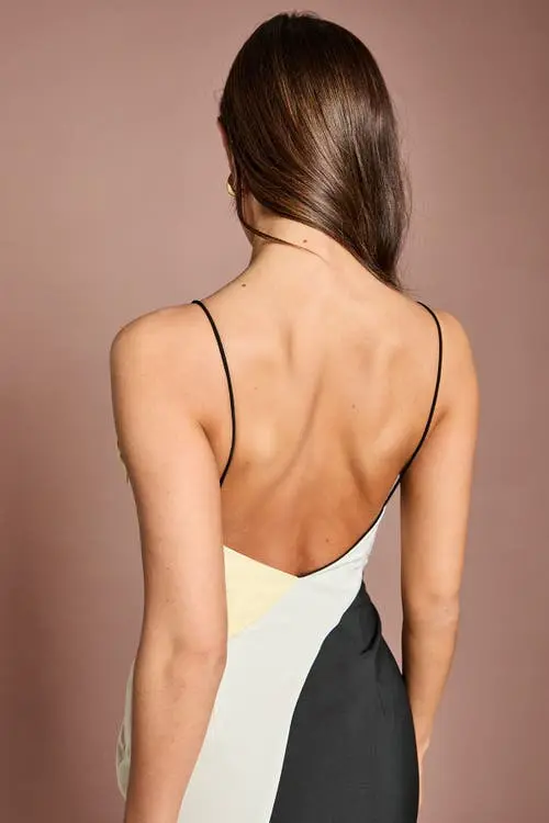 Coast Color Block Maxi Dress