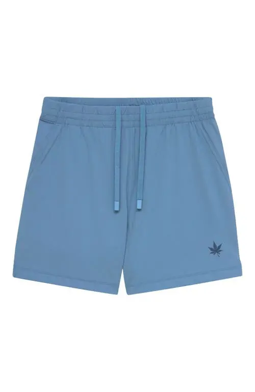 Boast 5" Peak Performance Short - Captain Blue