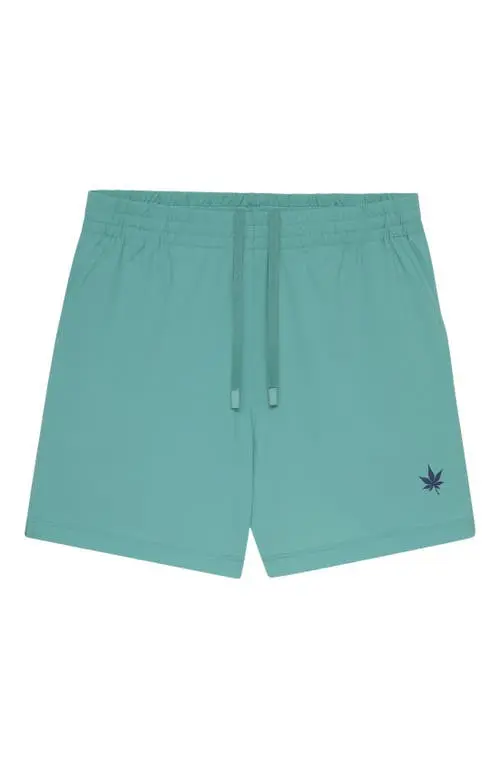 Boast 5" Peak Performance Short - Seafoam