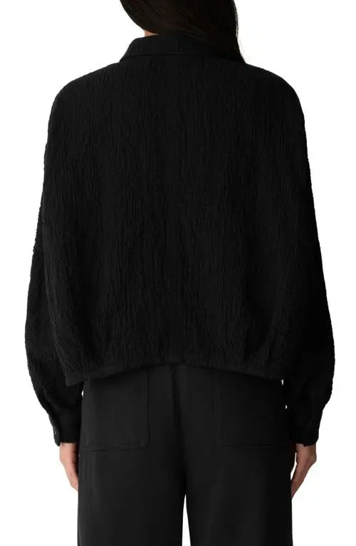 Eileen Fisher Classic Collar Cropped Jacket