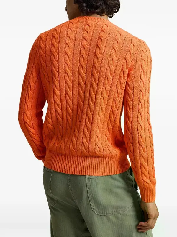 Polo Ralph Lauren Cable Knit Pony Motif Sweater