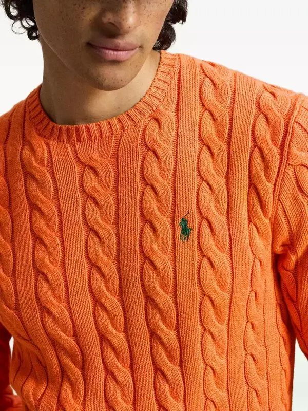 Polo Ralph Lauren Cable Knit Pony Motif Sweater