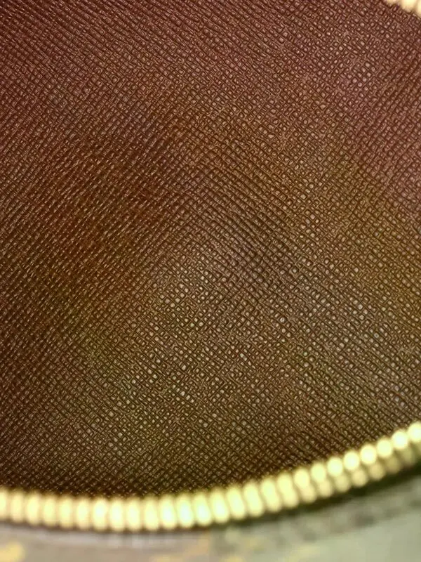 LOUIS VUITTON Papillon Handbag Monogram Canvas 26 Satchel