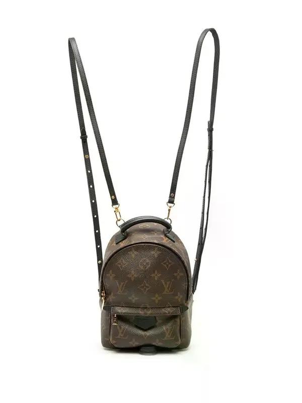 LOUIS VUITTON 2019 Monogram Mini Palm Springs Backpack - Brown