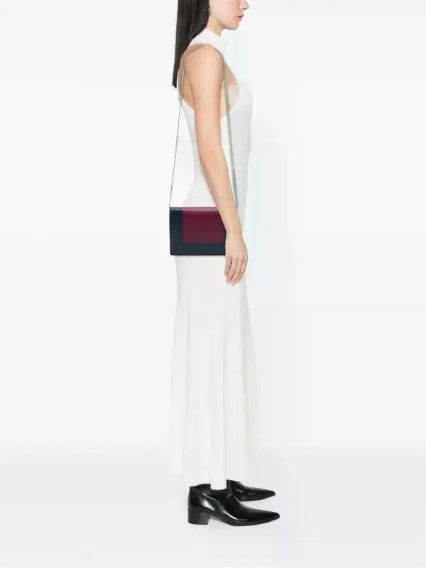 Celine Leather Frame Wallet On Chain Crossbody Bag