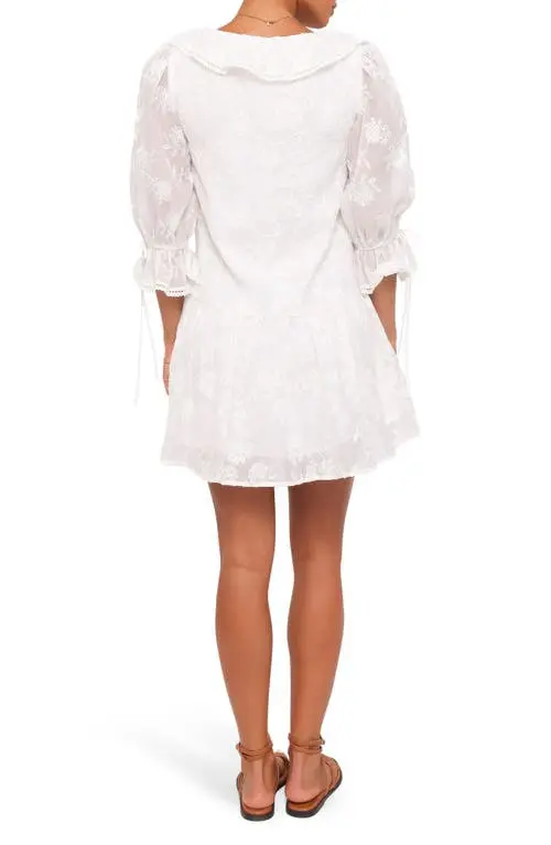 PETAL & PUP Embroidered Floral V-neck Mini Dress