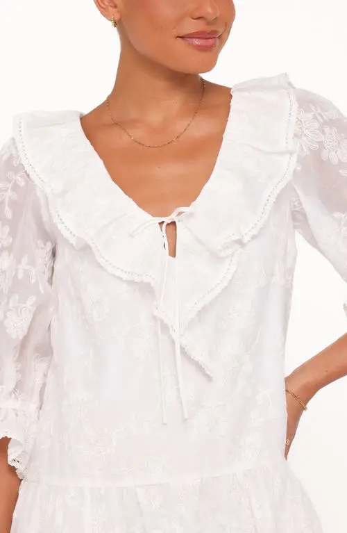 PETAL & PUP Embroidered Floral V-neck Mini Dress