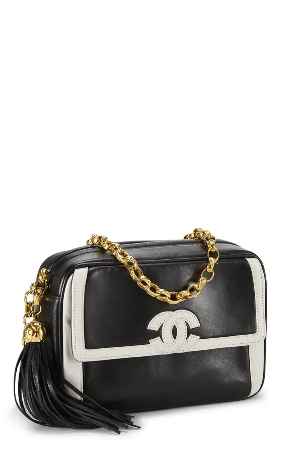 Chanel Multicolor Lambskin Pocket Camera Bag