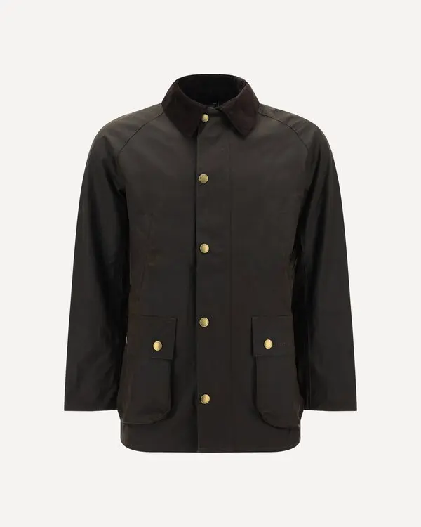 Barbour Ashby Jacket Ale