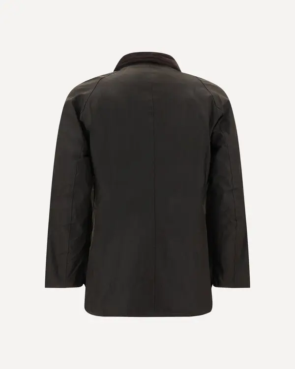 Barbour Ashby Jacket Ale