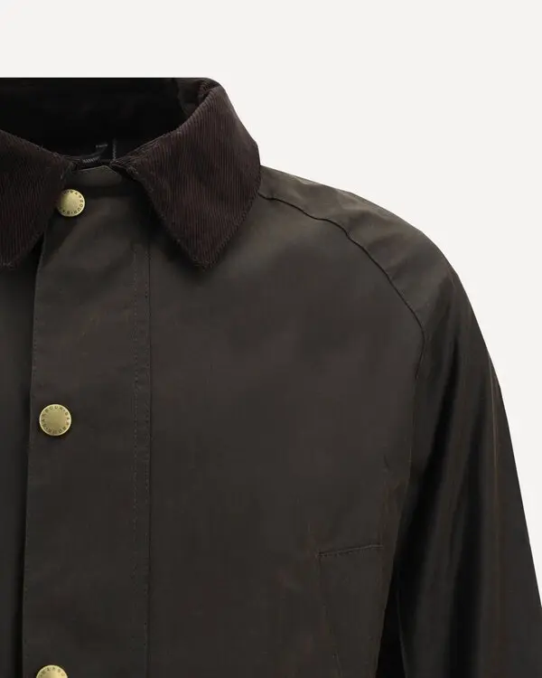 Barbour Ashby Jacket Ale