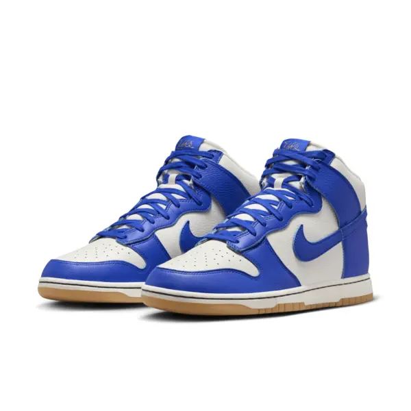Nike Dunk High Retro Se Shoes