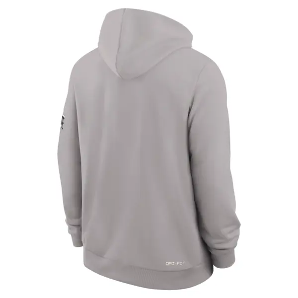 Nike Ohio State Sideline Standard Issue Pullover Hoodie - Grey