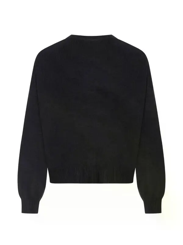 LISA YANG Crew-neck Ribbed-trim Sweater - Black