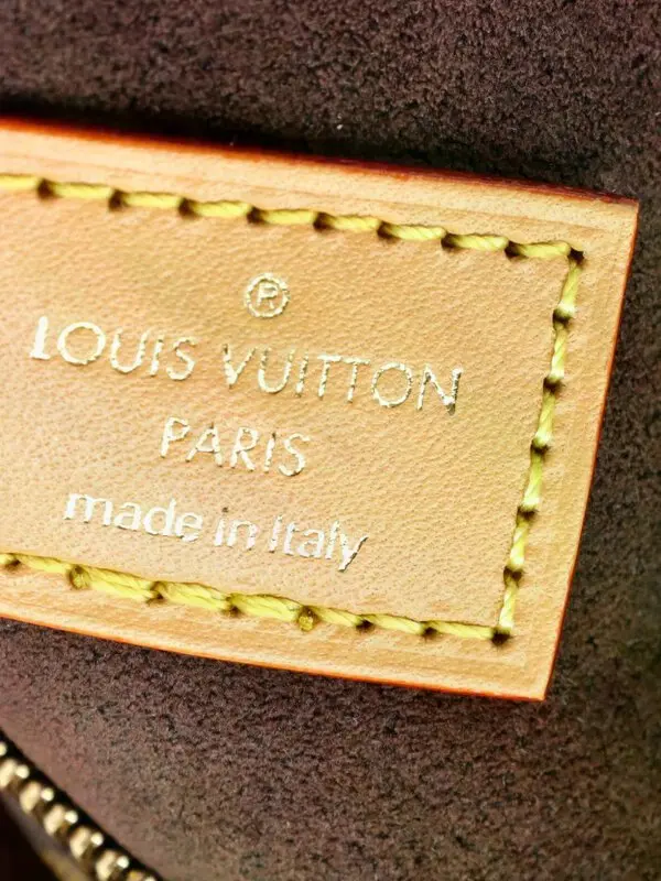 LOUIS VUITTON Monogram Canvas Mini Belt Bag