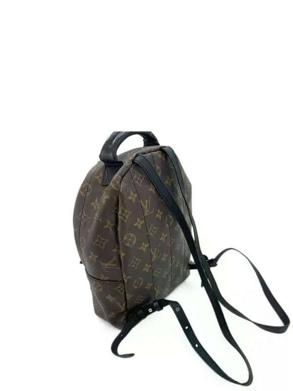 LOUIS VUITTON 2019 Palm Springs Monogram Backpack