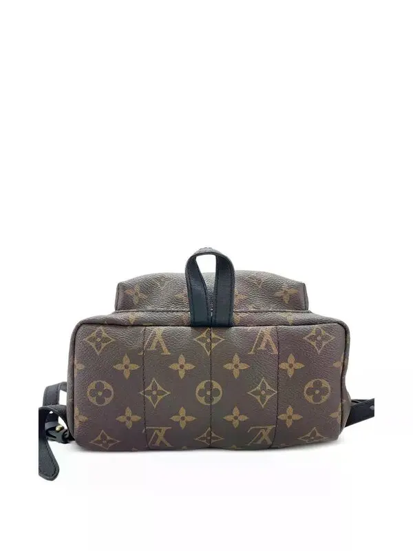 LOUIS VUITTON Palm Springs Monogram Backpack - Brown