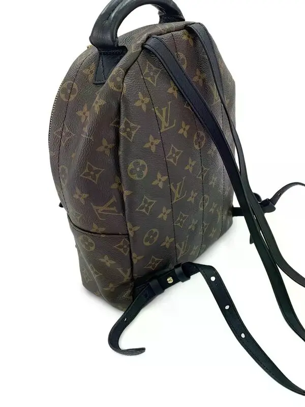 LOUIS VUITTON Palm Springs Monogram Backpack - Brown