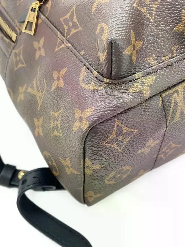 LOUIS VUITTON Palm Springs Monogram Backpack - Brown