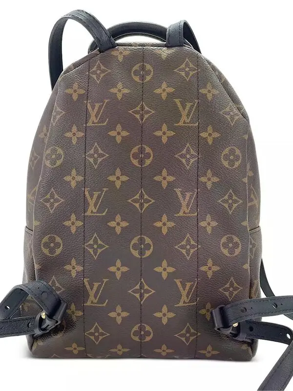 LOUIS VUITTON Palm Springs Monogram Backpack - Brown