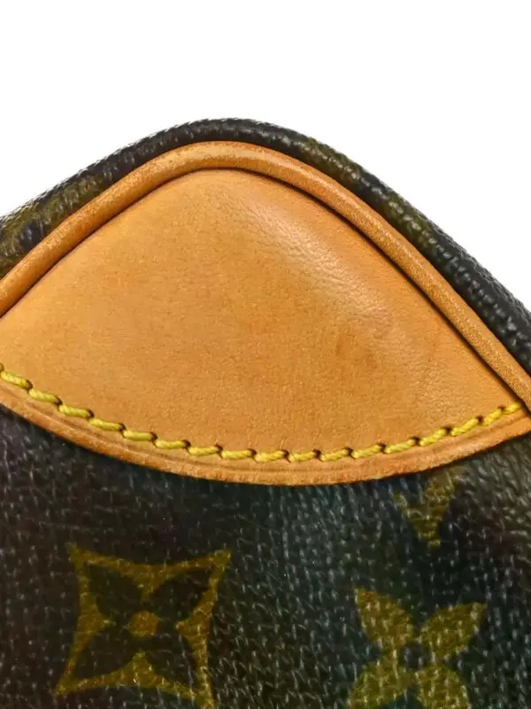 LOUIS VUITTON 2001 Amazon Monogram-pattern Crossbody Bag