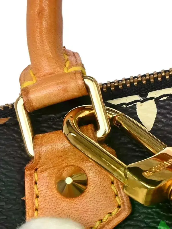 LOUIS VUITTON Mini Speedy Multicolor Tote Bag