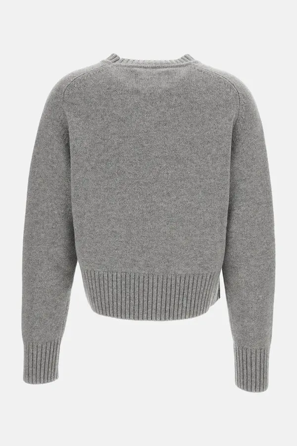 Extreme Cashmere N.167 Crew Neck Sweater Please Goat