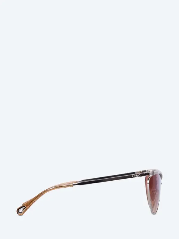 Chloé Full Frame Sunglasses