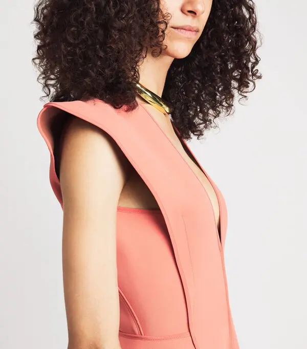 Maticevski Crepe Panelled Acumen Gown