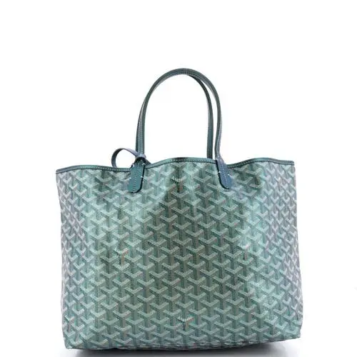 Goyard Saint Louis Tote Iridescent Coated Canvas Pm - Green