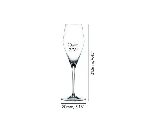 NACHTMANN Vinova Wine Glass - Champagne